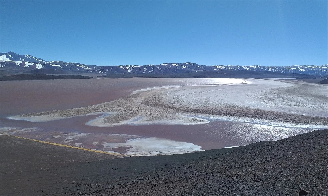 Black Lagoon gold nugget 2 | SALARES DEL NORTE SRL